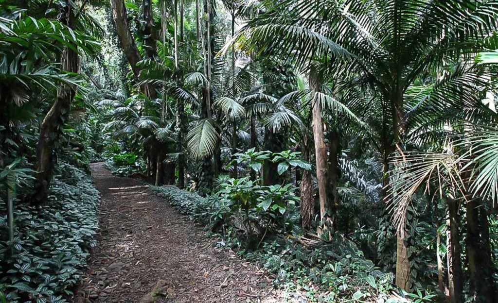 Tourist Attractions of Gabon | Discover Afrika