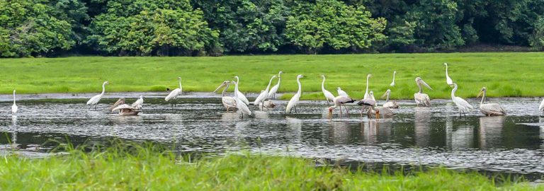 Parc national d'Akanda | Discover Afrika